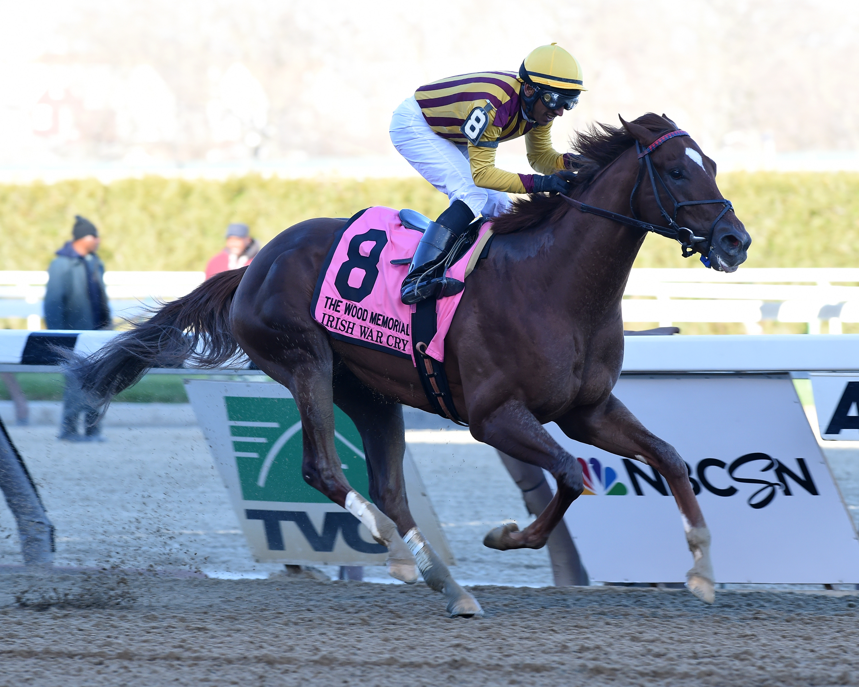 Irish War Cry Solid in Return – BSW/Crow