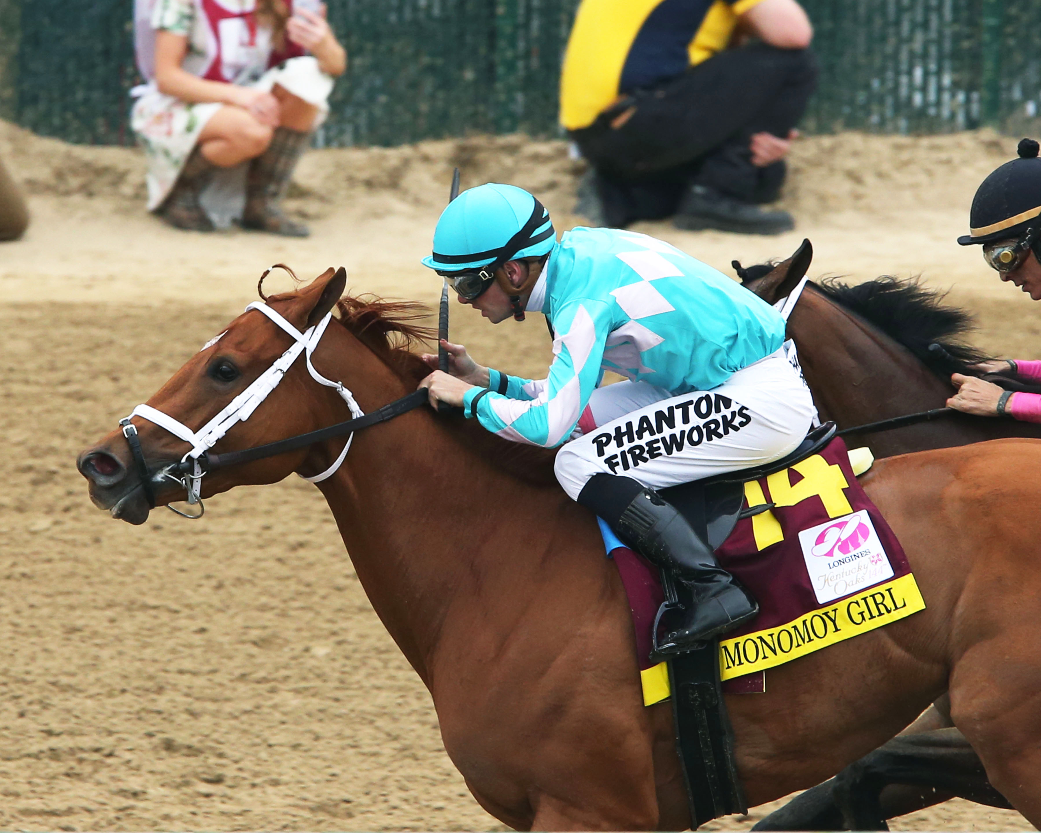 Monomoy Girl – BSW Bloodstock