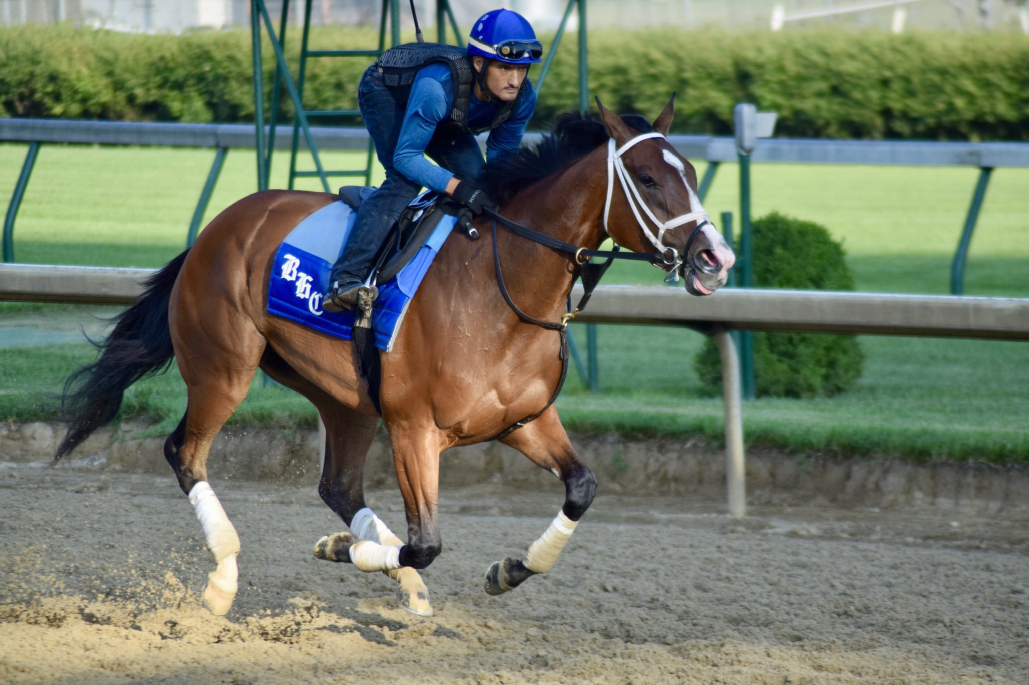 BSW Clients Gear Up for Another Busy Weekend – BSW/Crow
