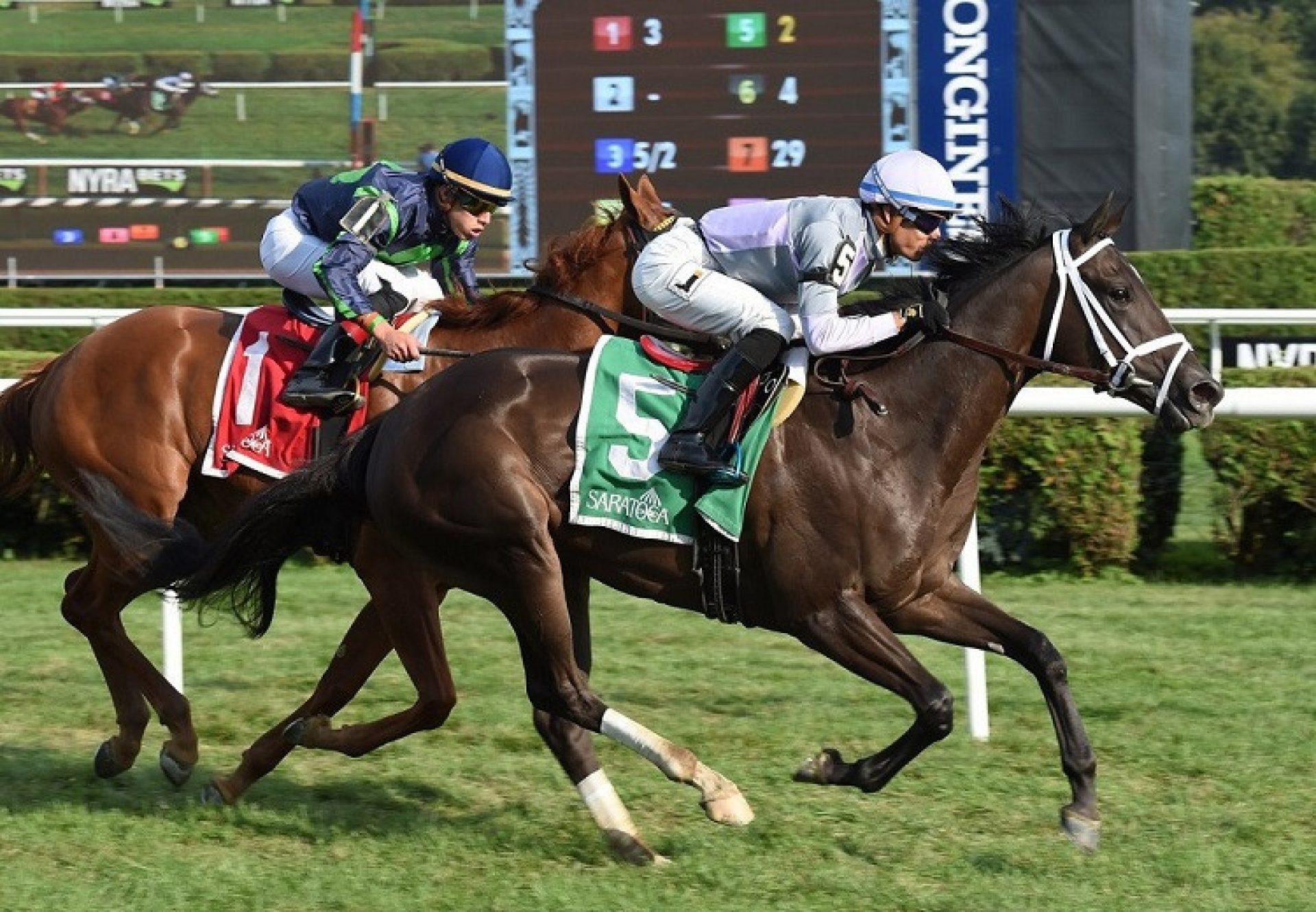 Crow at the Top of the Charts as September Sale Looms – BSW Bloodstock