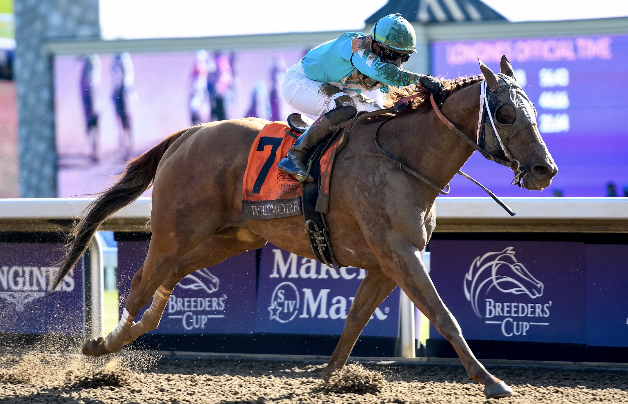 Return of Sprint Champ Whitmore Highlights Busy Weekend – BSW Bloodstock