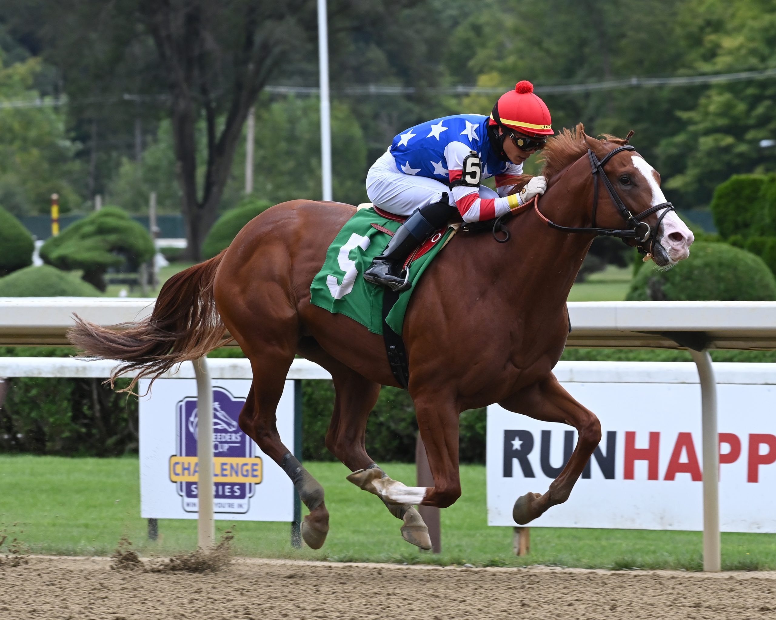 Jack Christopher Becomes TDN Rising Star; Three Other 2yo’s Become ...