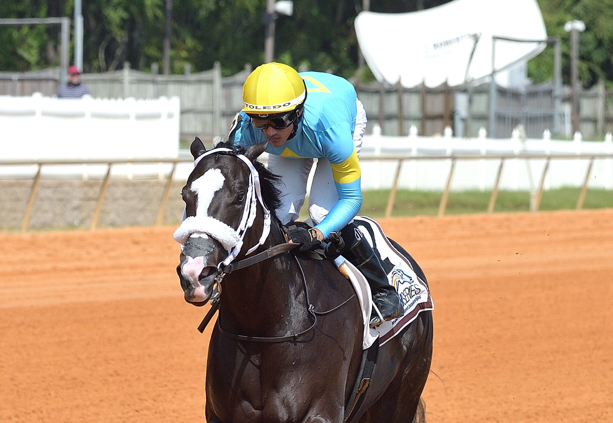Hello Beautiful, Dreamalildreamofu Take Stakes at Laurel Park – BSW ...