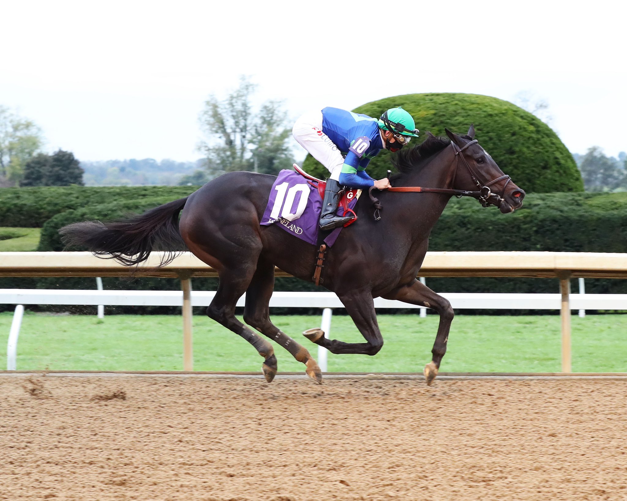 Hello Beautiful, He’smyhoneybadger, Goodnight Olive Highlight Strong ...