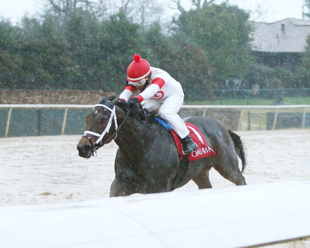 Coach Dominates Pippin in 4yo Debut – BSW Bloodstock