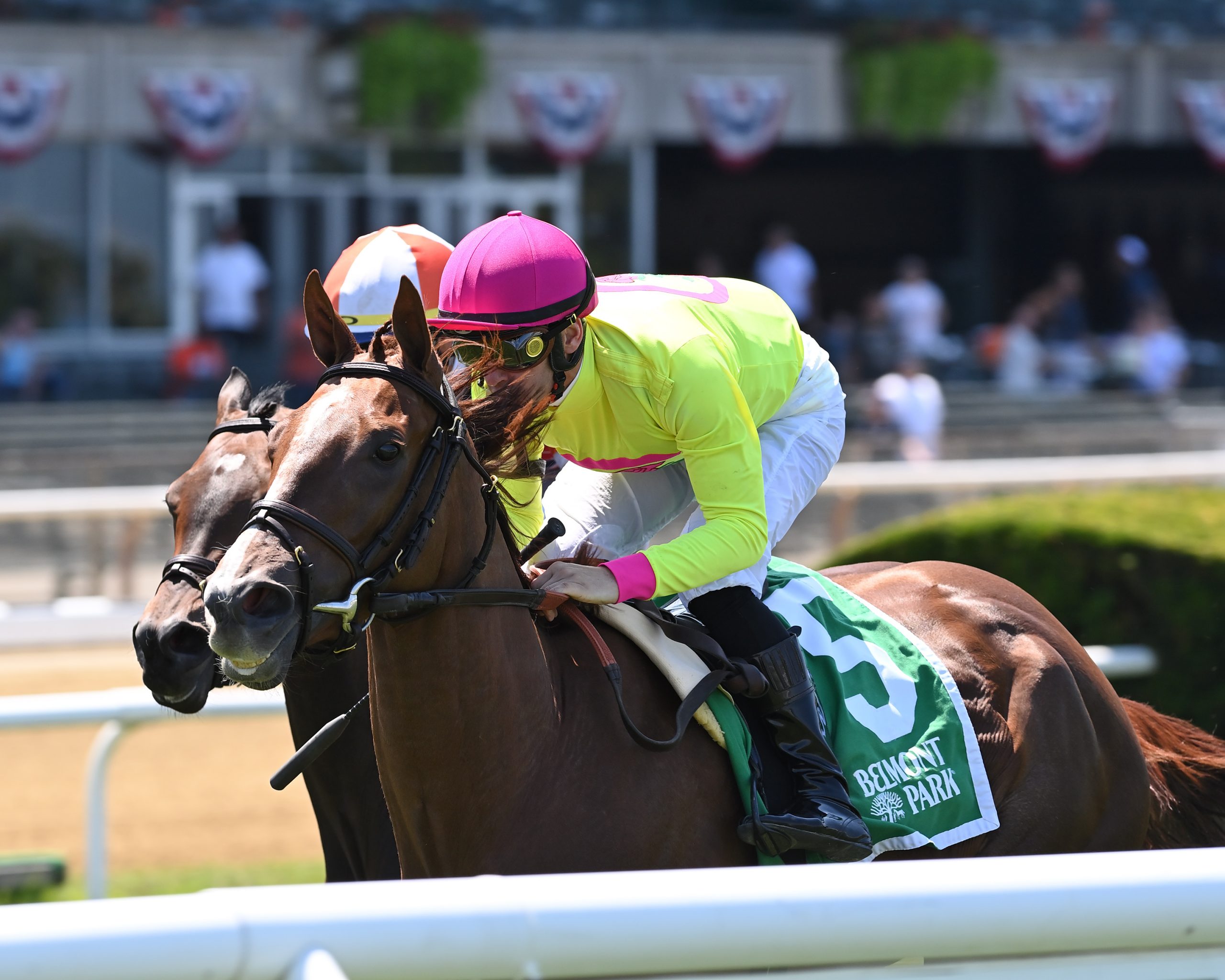 Eminent Victor – BSW Bloodstock