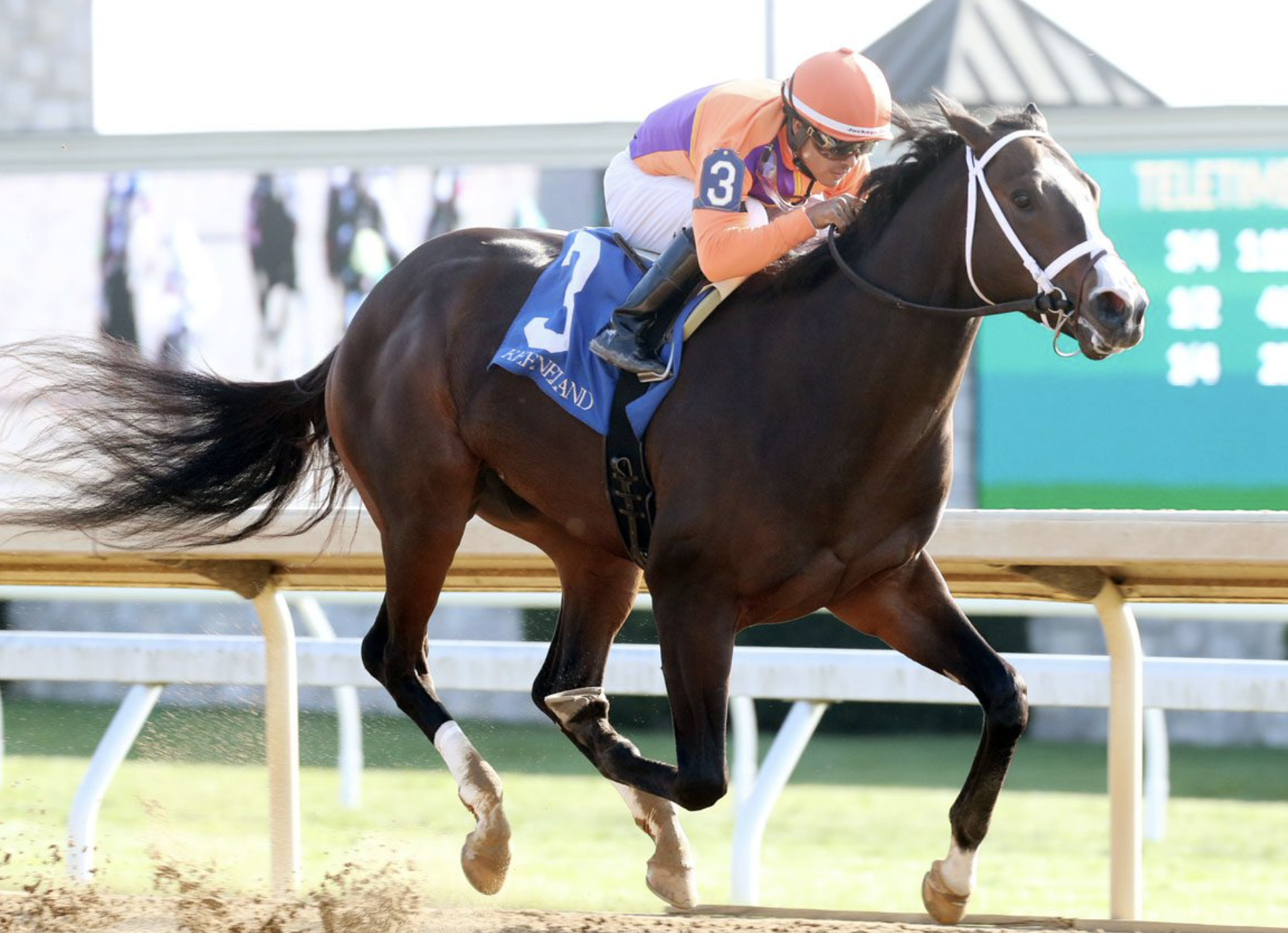 Victory Formation Named TDN ‘Rising Star’ In Gate to Wire Debut Score ...
