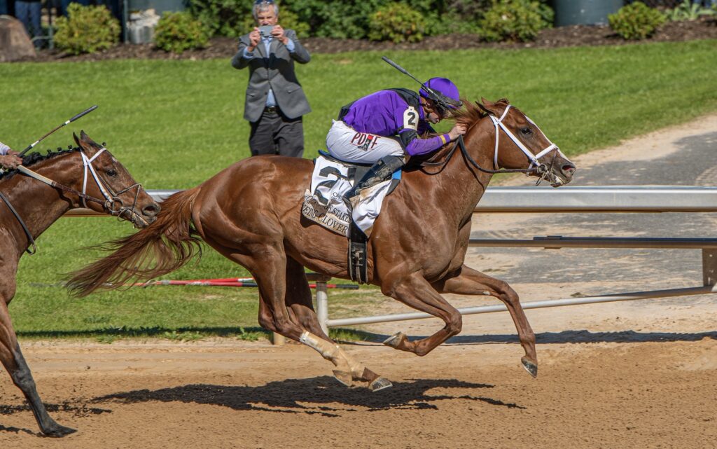 Prerequisite Heads Weekend Stakes Action – BSW/Crow