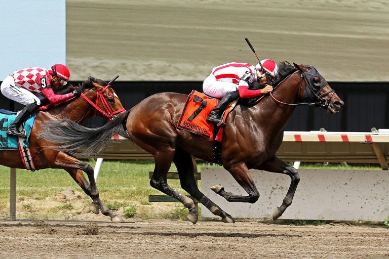 Power in Numbers – BSW Bloodstock