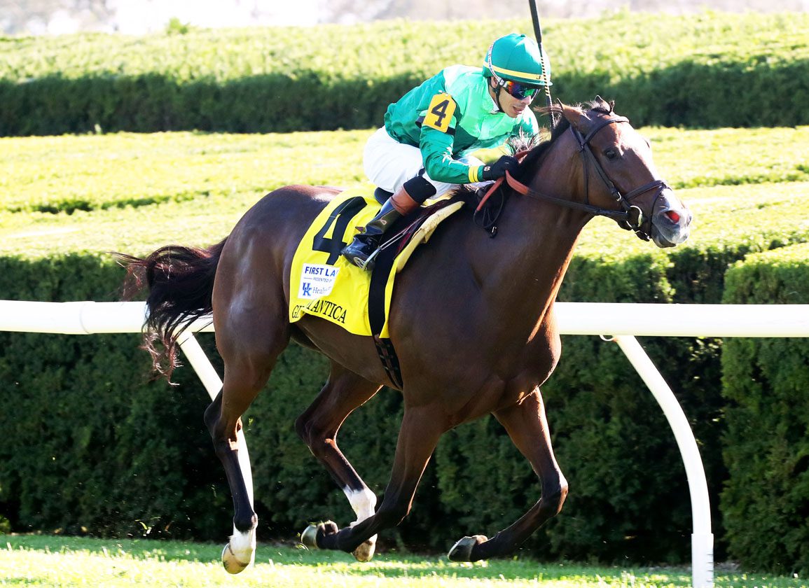 Gina Romantica Repeats in First Lady Stakes, Tip Top Thomas Valiant in ...